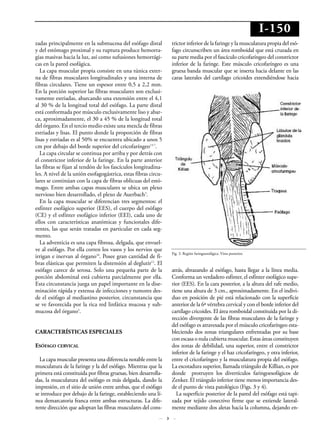 Anatomia descriptiva quirurgica del Esofago.pdf | Free Download