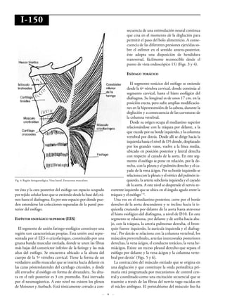 Anatomia descriptiva quirurgica del Esofago.pdf | Free Download