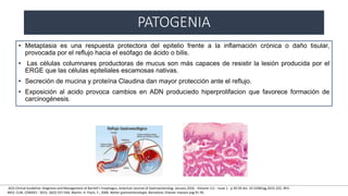 Esofago de barret | PPTX