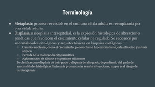 Esófago de Barrett | PDF