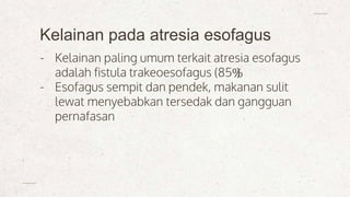 Esofagografi pada Atresia Esofagus (Tinjauan Pustaka) Matthew ...