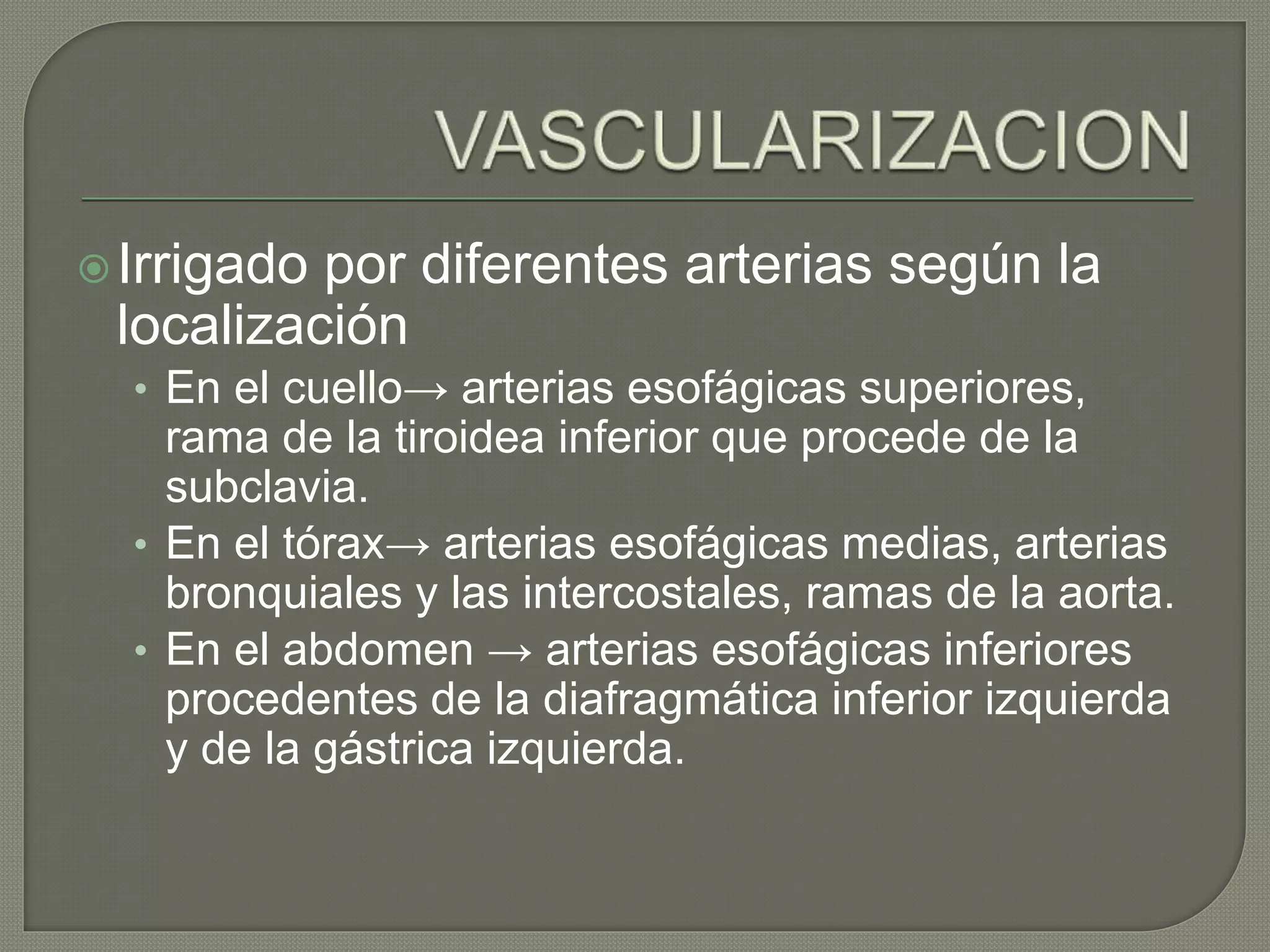 Esofagograma y Anatomía (Radiología Convencional) | PPTX