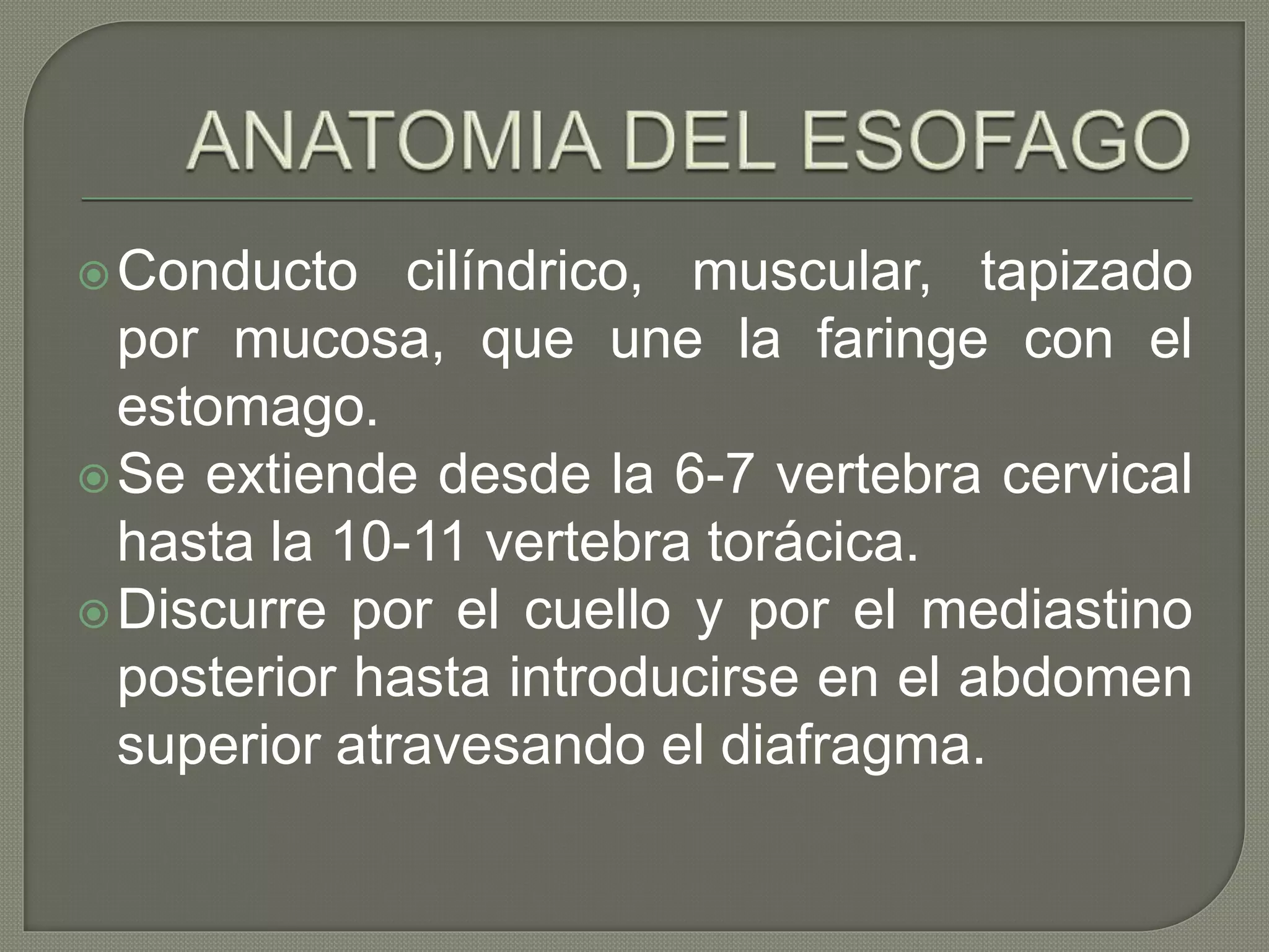 Esofagograma y Anatomía (Radiología Convencional) | PPTX