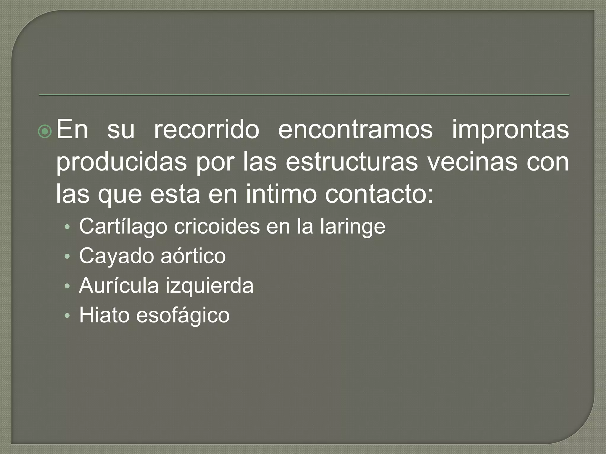 Esofagograma y Anatomía (Radiología Convencional) | PPTX