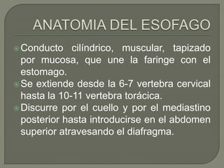 Esofagograma y Anatomía (Radiología Convencional) | PPTX