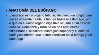 Esofagograma, técnicas, importancia, patologias | PPTX