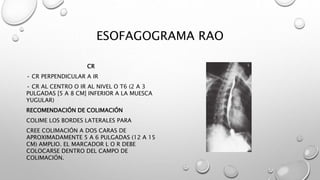 Esofagograma (bs) | PPTX