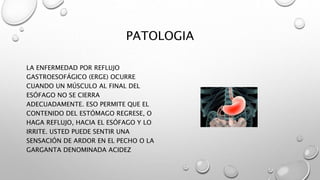 Esofagograma (bs) | PPTX