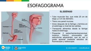 ESOFAGOGRAMA listo ya está expo1.pptx