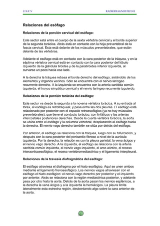 Esofagograma | DOC