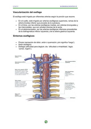 Esofagograma | DOC