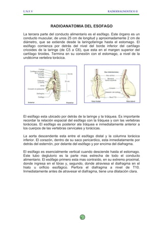 Esofagograma | DOC