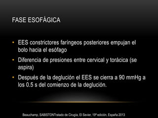 Anatomía esófago | PPTX