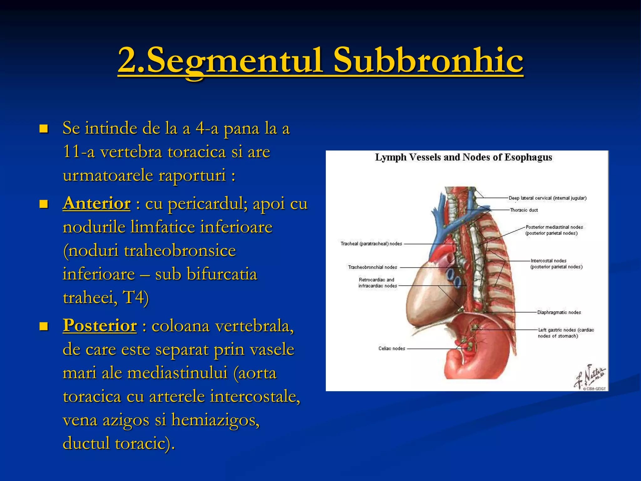 Esofagul prez veche | PPT