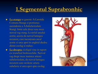 Esofagul prez veche | PPT