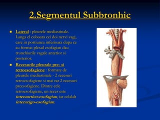 Esofagul prez veche | PPT