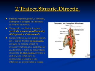 Esofagul prez veche | PPT