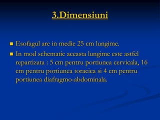 Esofagul prez veche | PPT