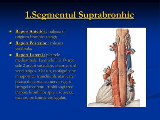 Esofagul prez veche | PPT