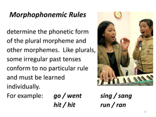 Phonology -- The Sound Patterns of Language Made Easy | PPTX
