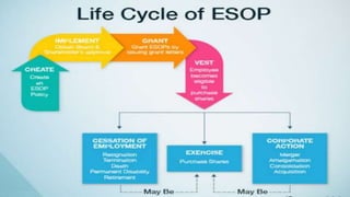 Employee Stock Option Plan - ESOP | PPTX