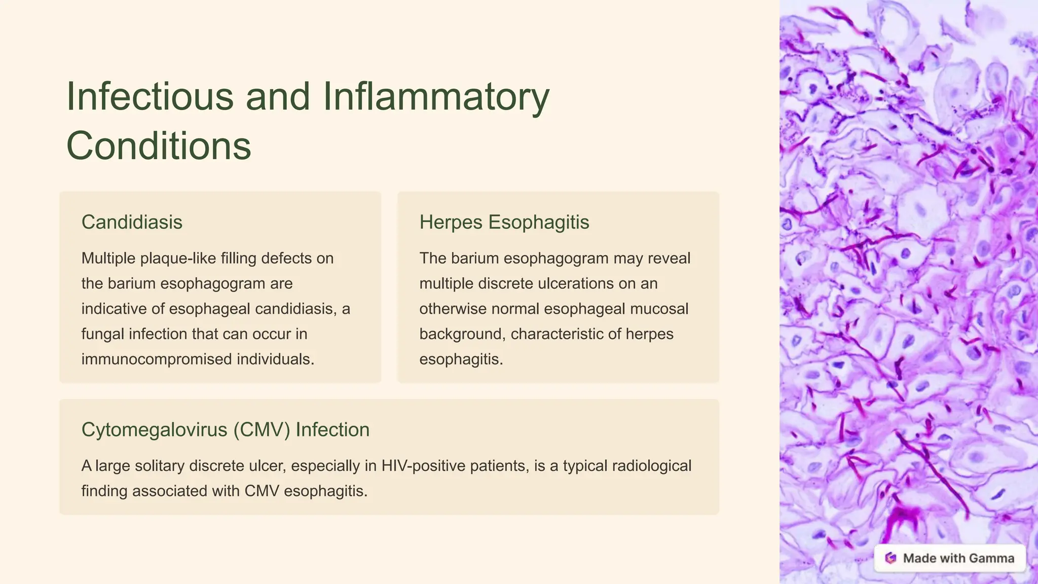 Esophageal-Conditions-A-Radiological-Perspective.pptx