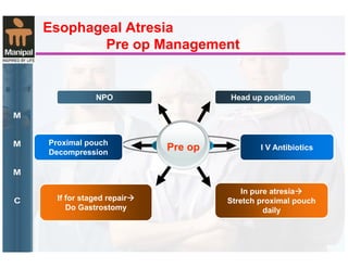 Esophageal atresia-- Epitome of modern surgery | PDF