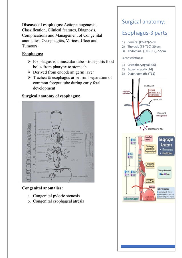 ESOPHAGEAL DISORDERS WITH ITS DIAGNOSIS AND MANAGEMENTPDF.pdf | Free ...