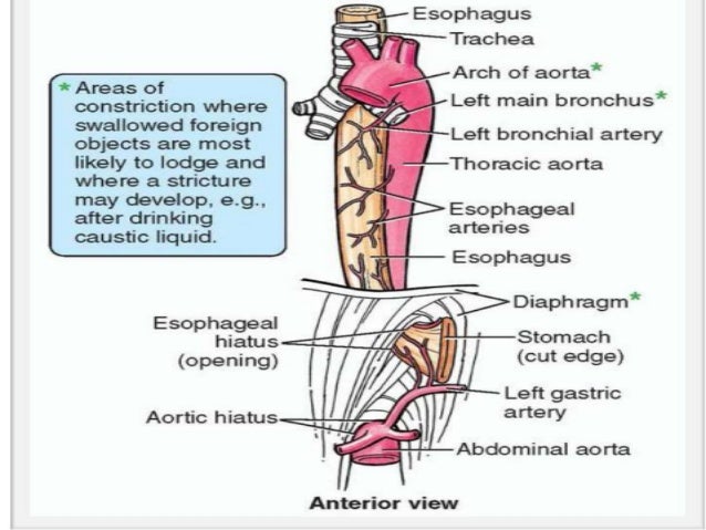 Esophageal injury