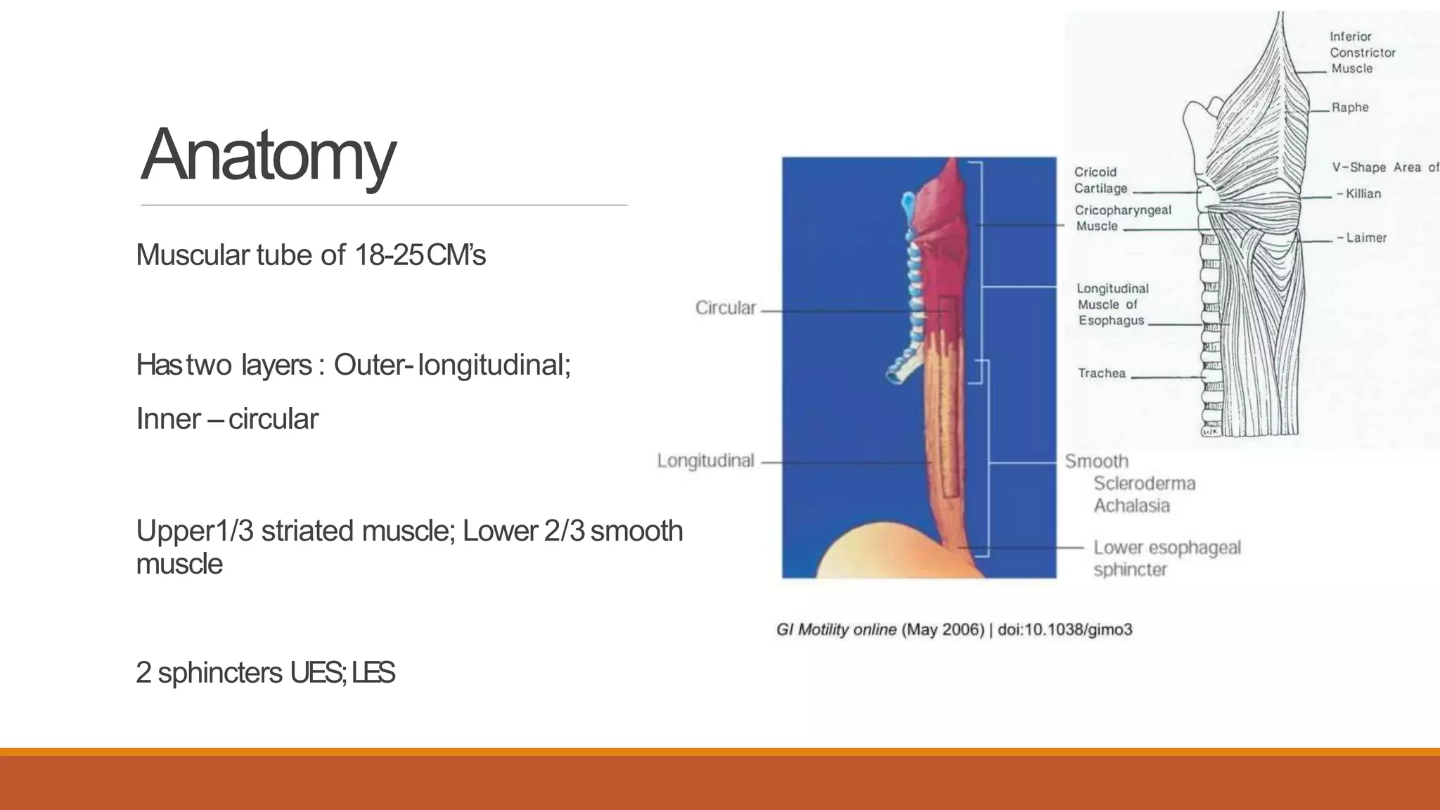 Esophageal motility disorders | PPTX