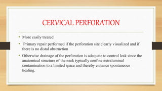 Esophageal perforation.pptx