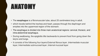 Esophageal trauma | PPTX