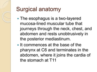 Esophagus | PPTX
