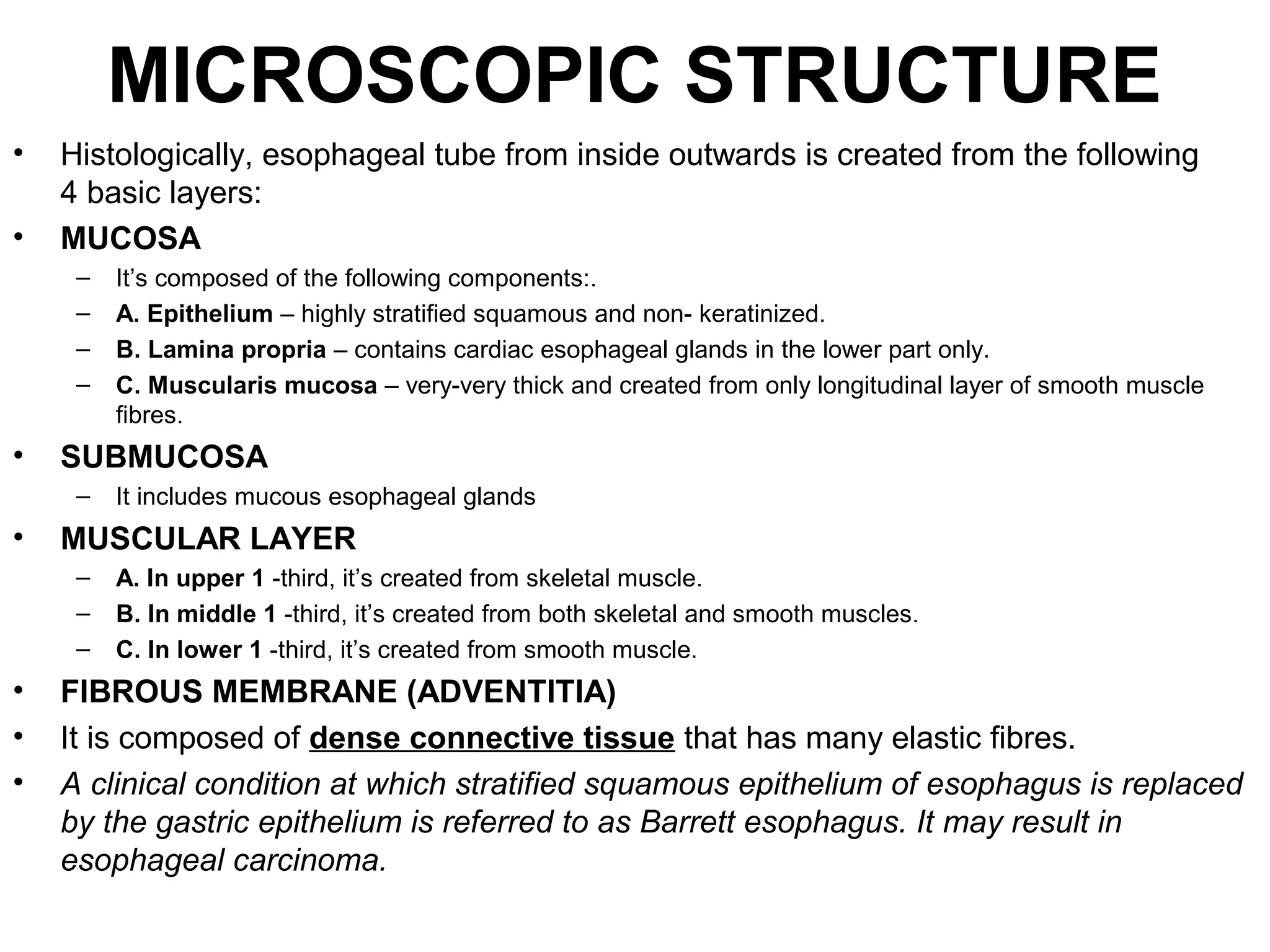 esophagus-180311122136.pdf