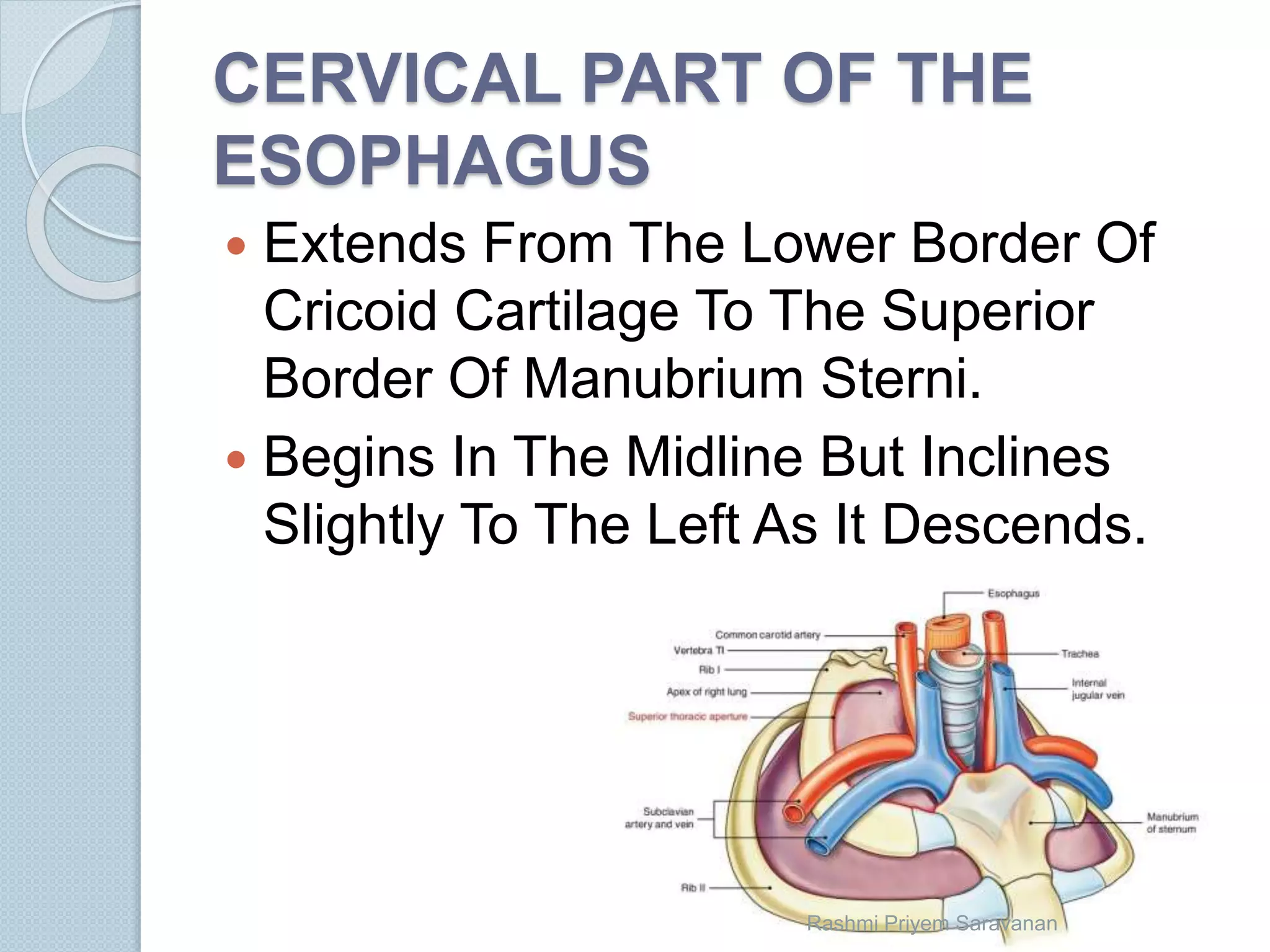 Esophagus | PPTX