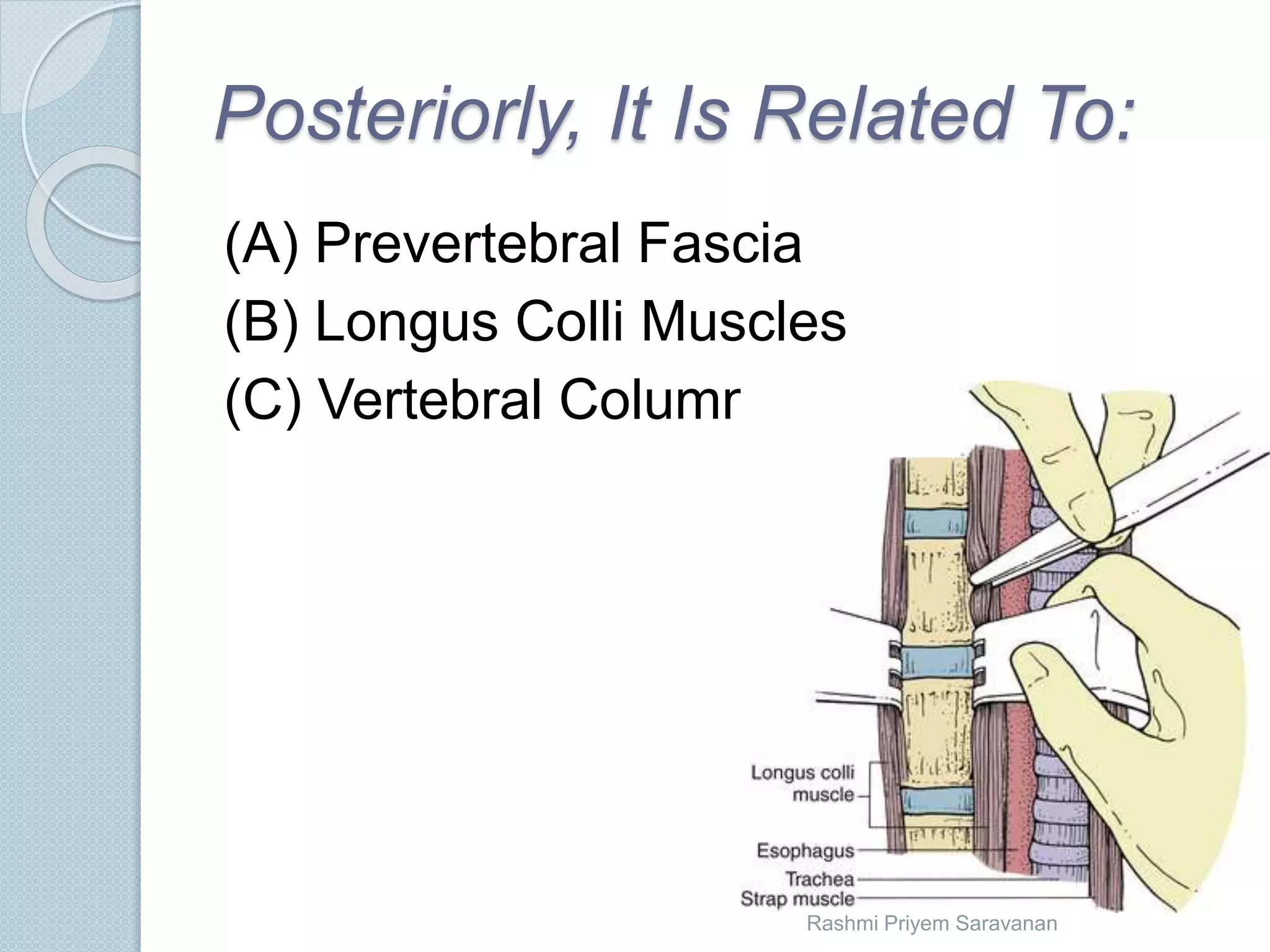 Esophagus | PPTX