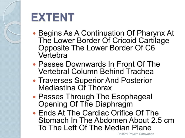 Esophagus | PPTX | Thyroid Disorders | Endocrine and Metabolic Diseases