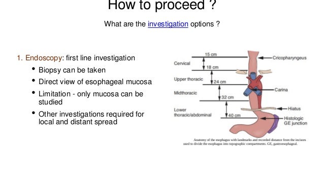 Esophagus.pptx