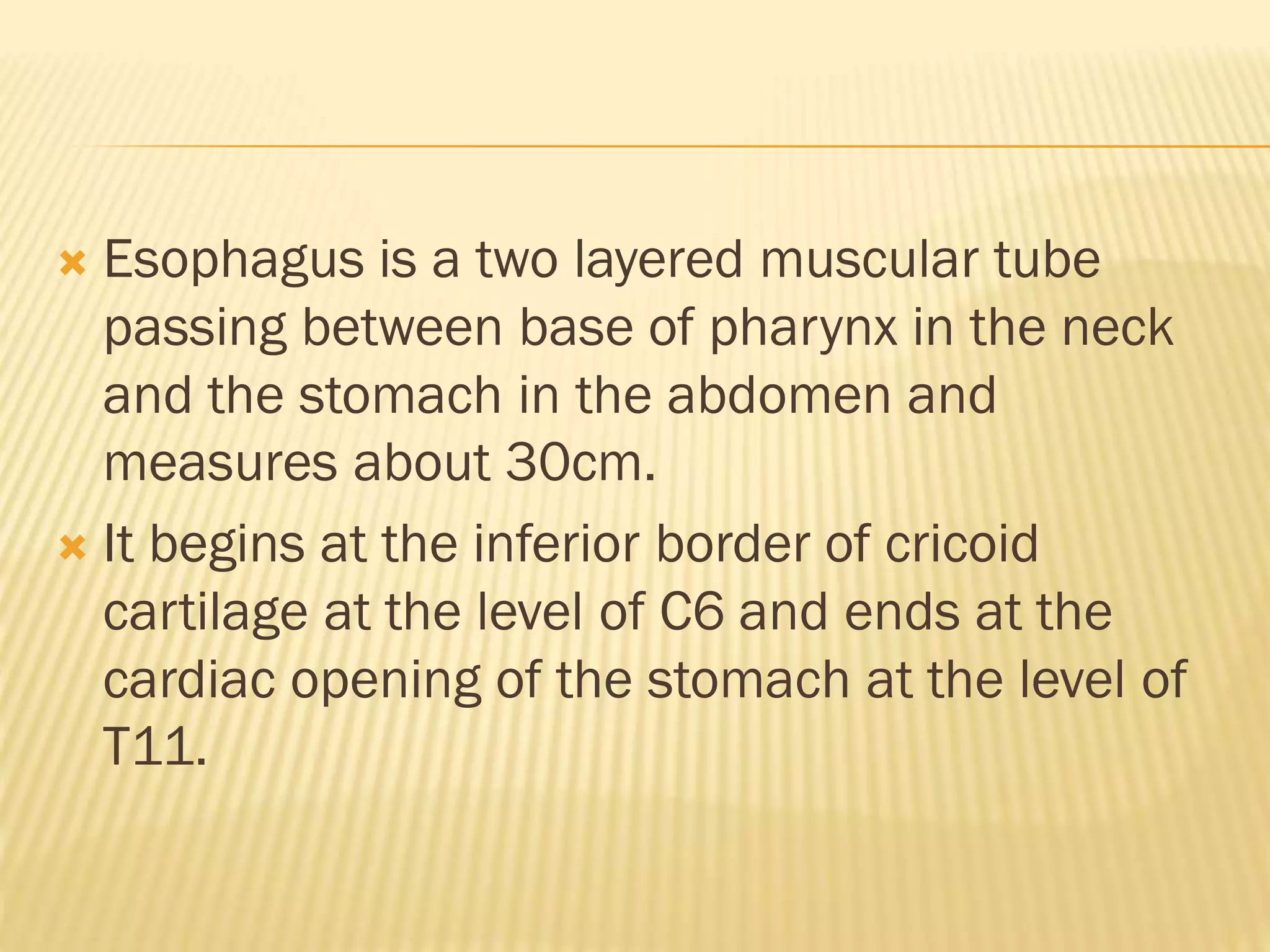 esophagus.pdf