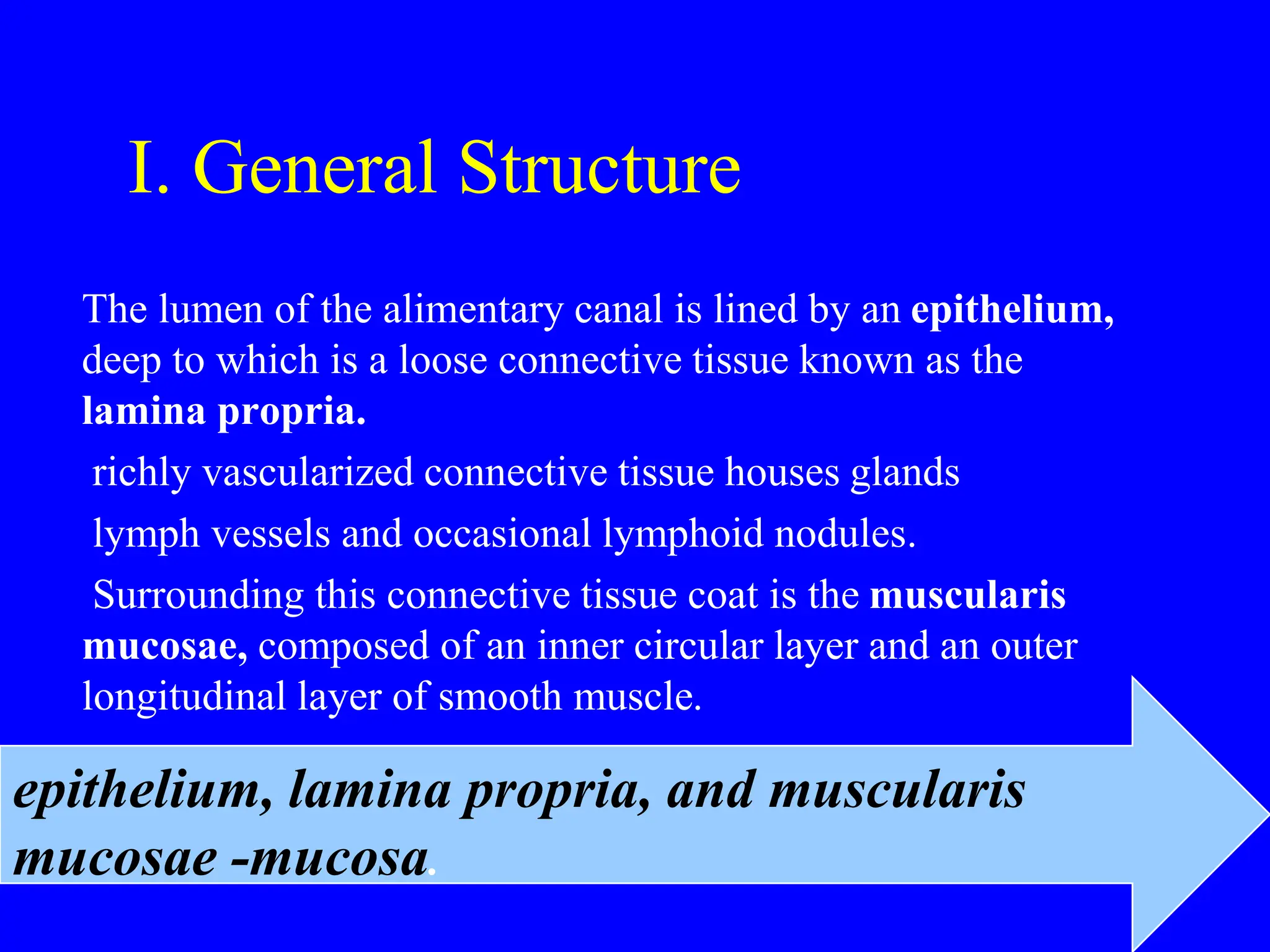 ESOPHAGUS.pptx