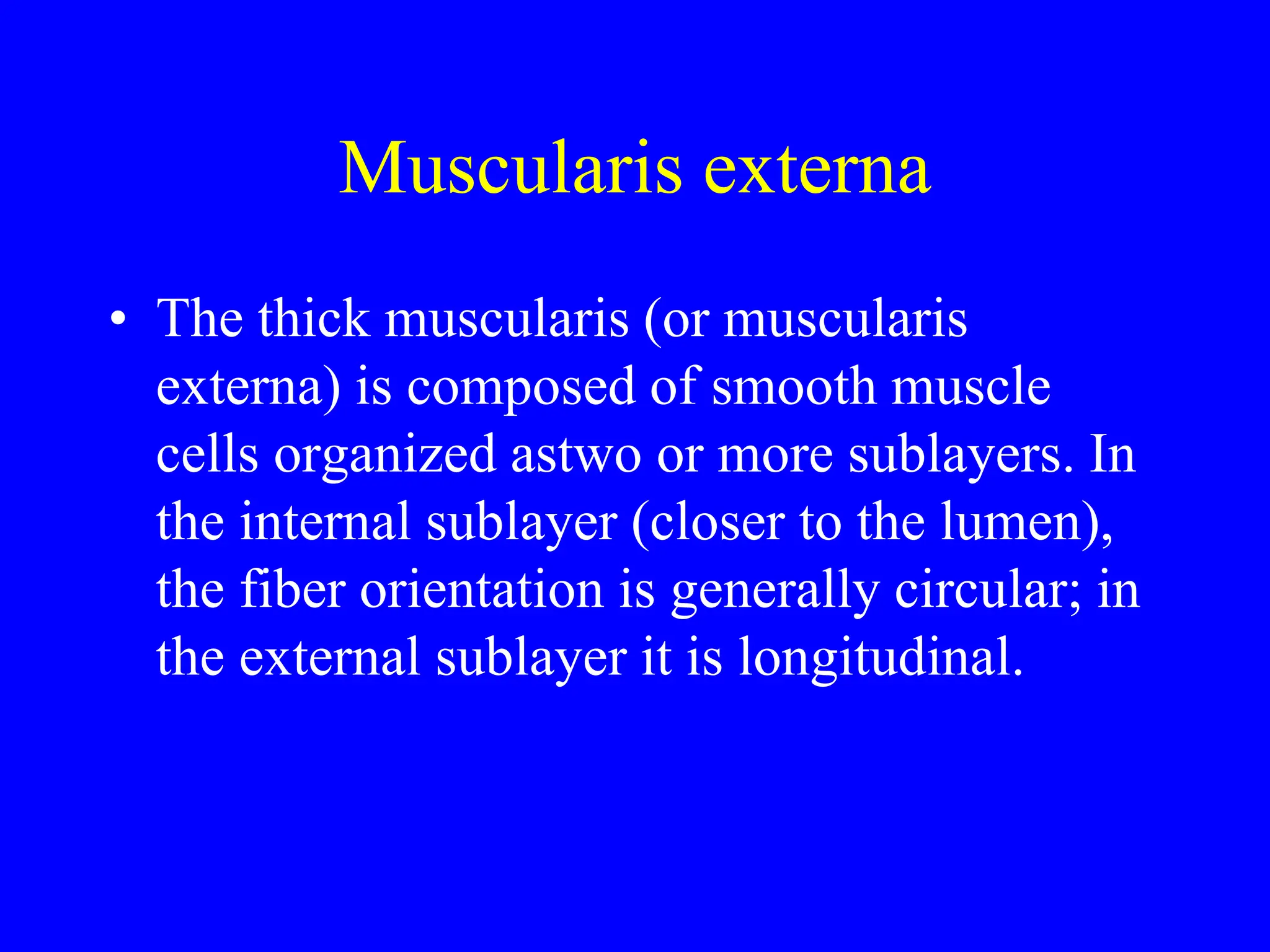 ESOPHAGUS.pptx