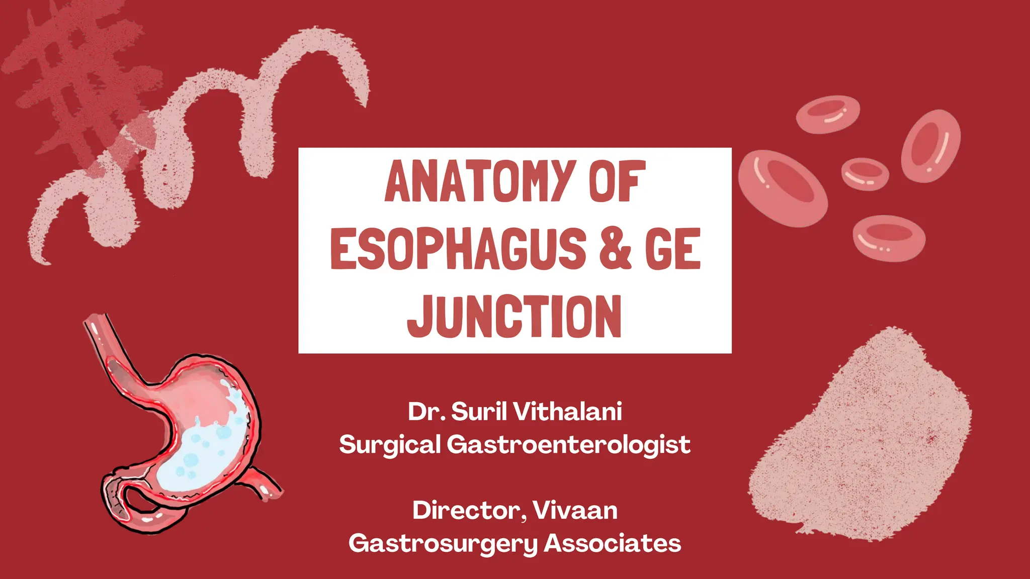 Anatomy of esophagus and GE junction: FALS 2024 | PPTX