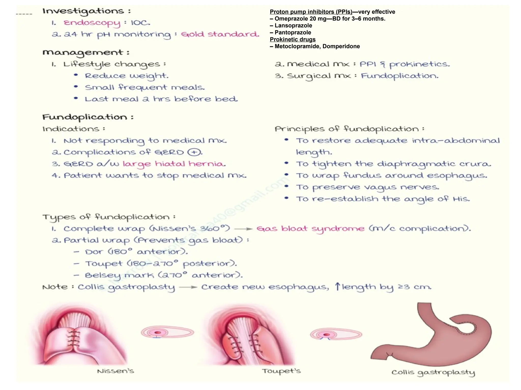 Esophagus anatomy and physiology overview | PPT