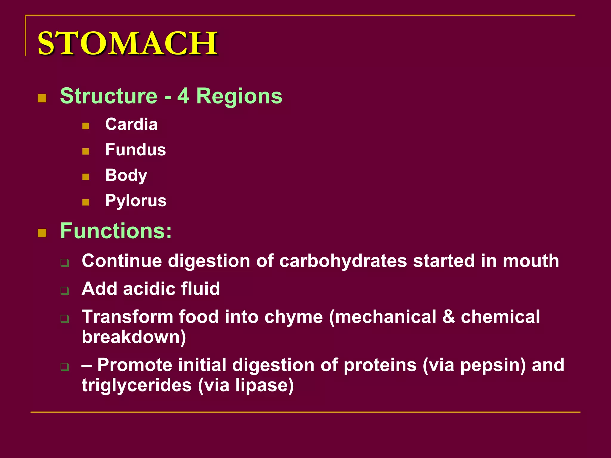 HIStology ..Esophagus intestine stom engl | PPT