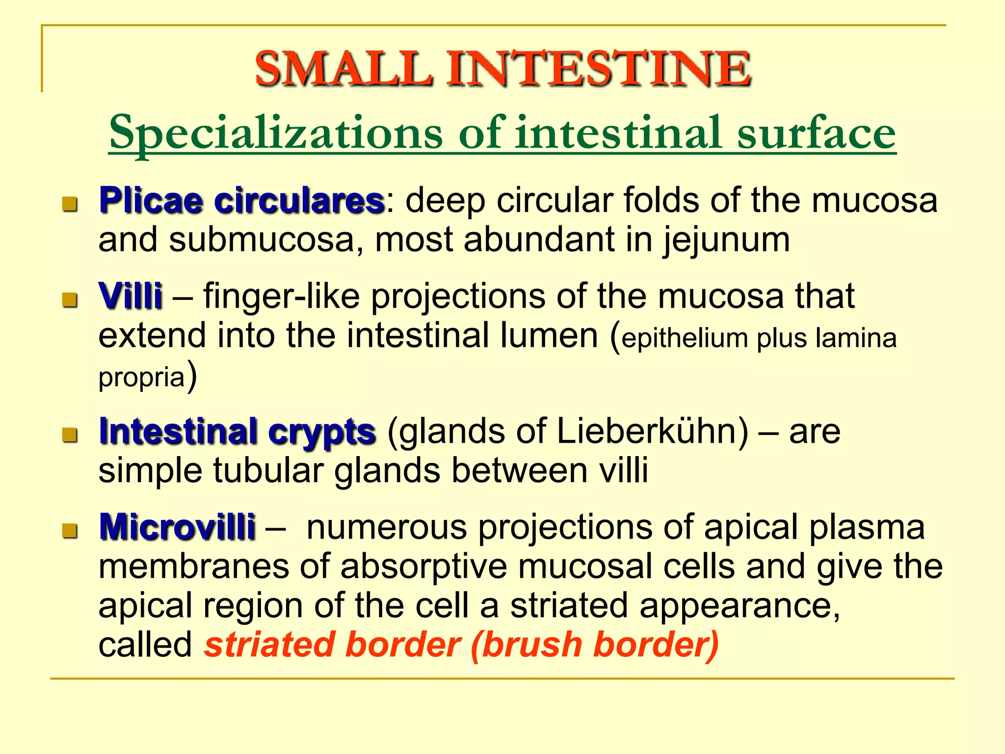 HIStology ..Esophagus intestine stom engl | PPT