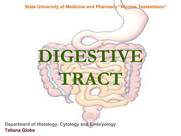 HIStology ..Esophagus intestine stom engl | PPT