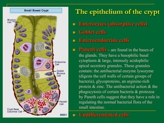 HIStology ..Esophagus intestine stom engl | PPT