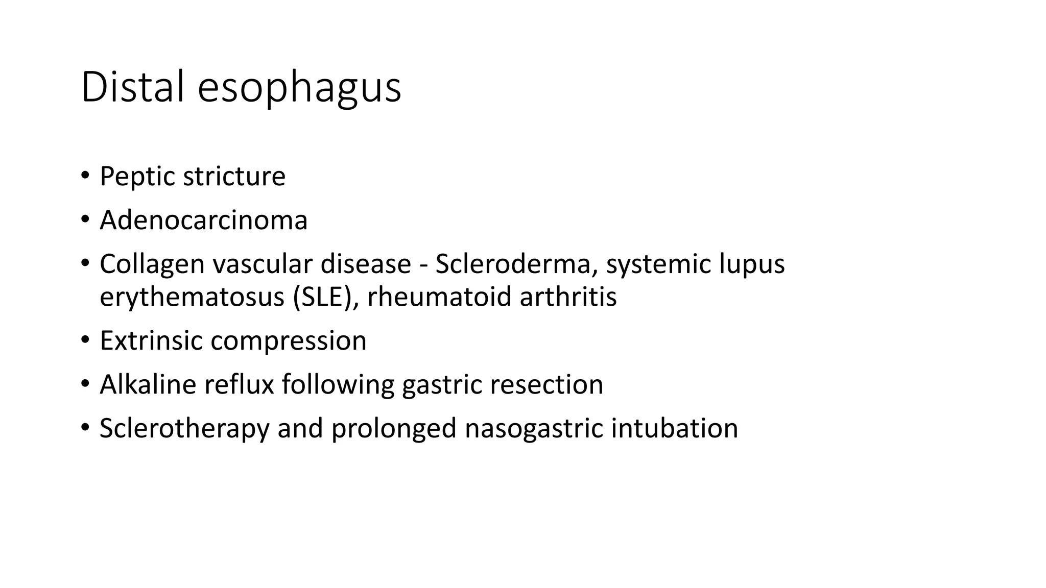 esophagus (1).pptx | Thyroid Disorders | Endocrine and Metabolic Diseases