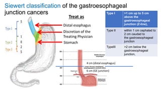 Esophagus Contouring.pptx