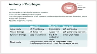 Esophagus ppt [Autosaved] [Autosaved].ppt